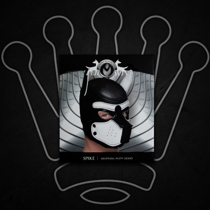 HOOD Archives - The Popper King